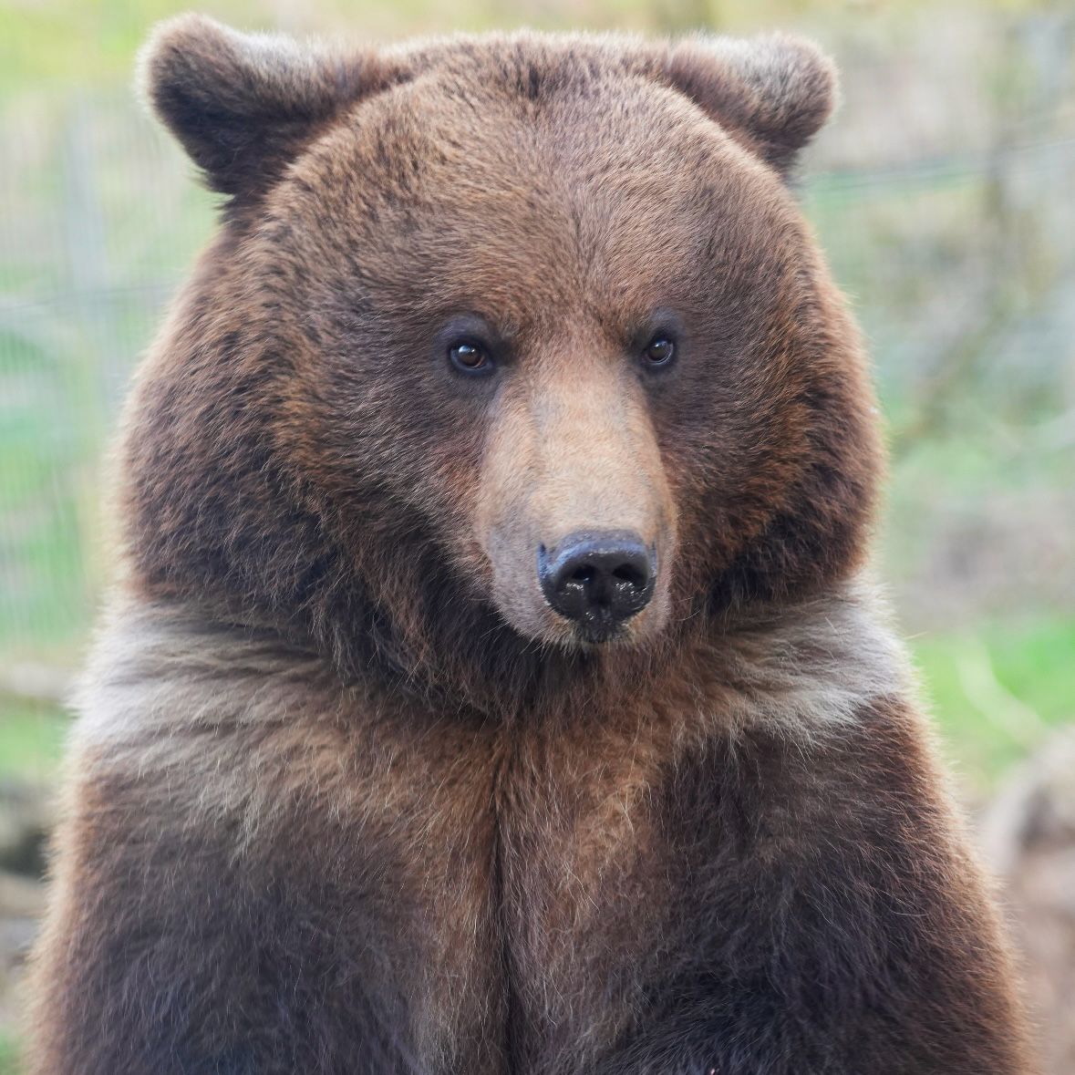 About us. Jimmy's Farm & WIldlife Park. Jimmy Doherty